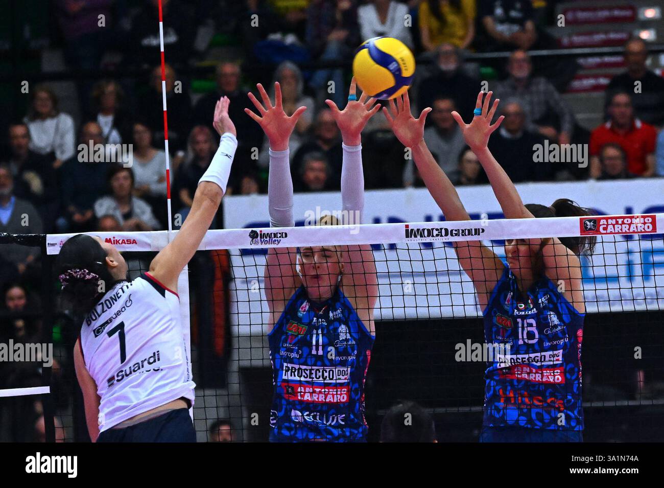 Treviso, Italy. 09th Mar, 2025. Alessia Bolzonetti ( Volley Bergamo ...