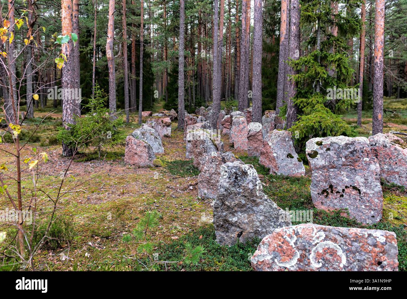 Stone debts of the Mannerheim lines on the Karelian Isthmus Stock Photo ...
