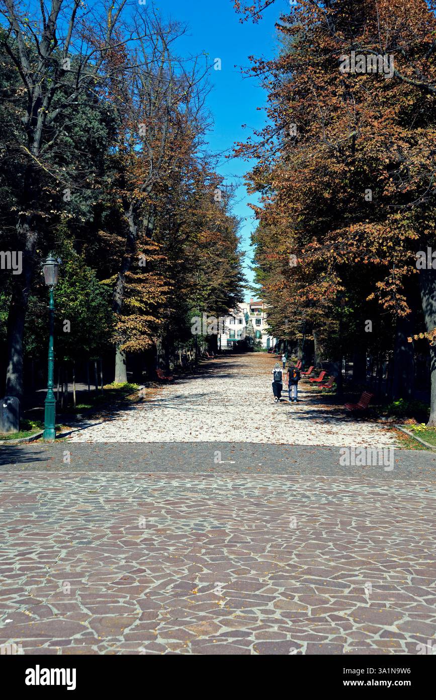 Fußgänger in einer Allee mit Bäumen im Viertel Castello. Venedig ...