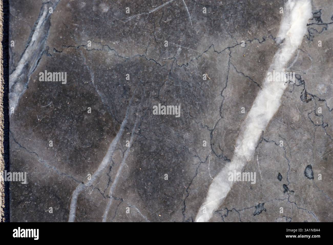 Close-up of gray marble surface with white and dark veins. The ...