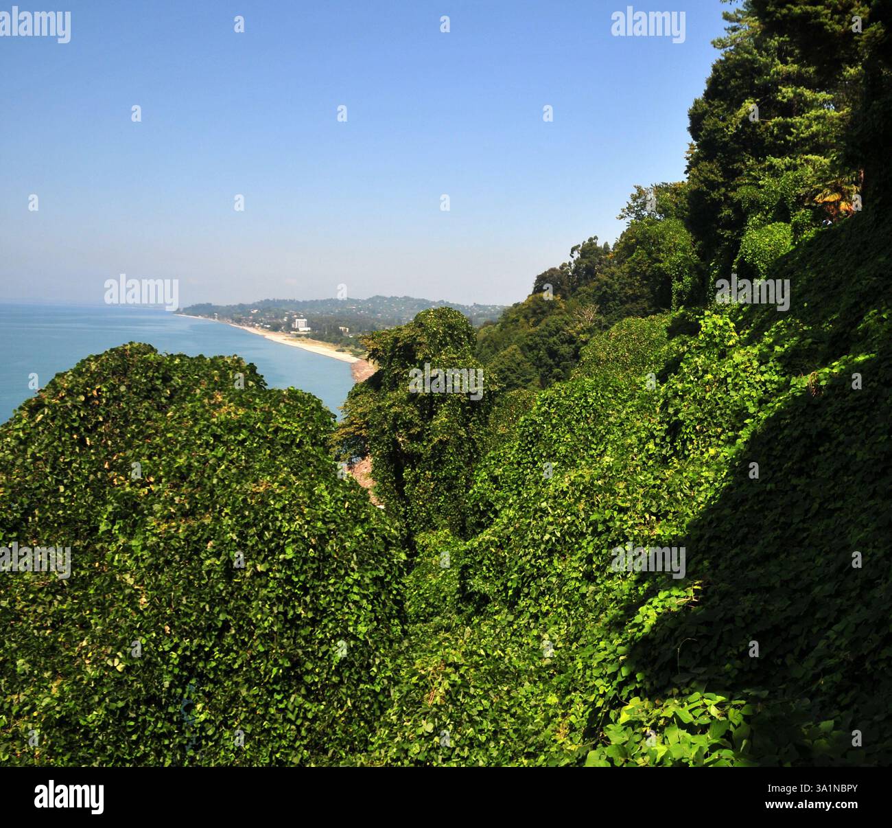 A view of the beaches in Chakvi, Georgia Stock Photo - Alamy