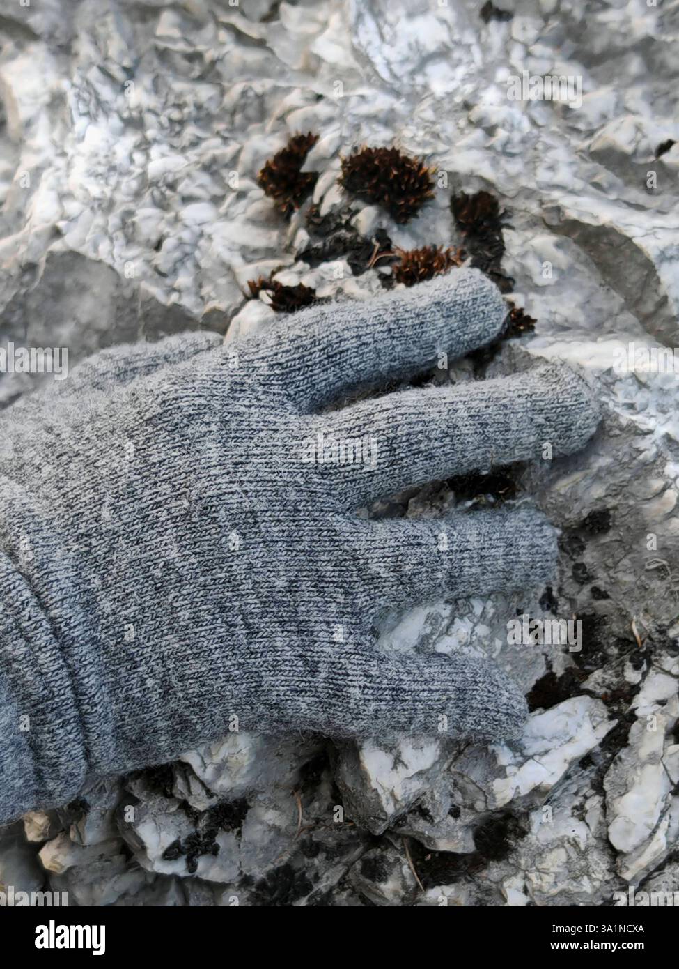 symbol of hygiene and cleanliness, a clean and healthy lifestyle symbol ...