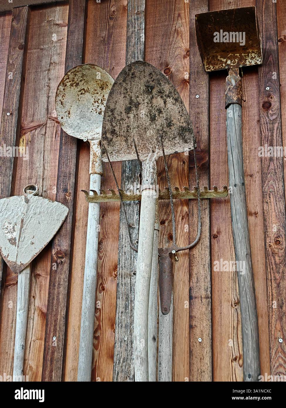 a shovel or spade as a tool for garden work shovel or spade in ...