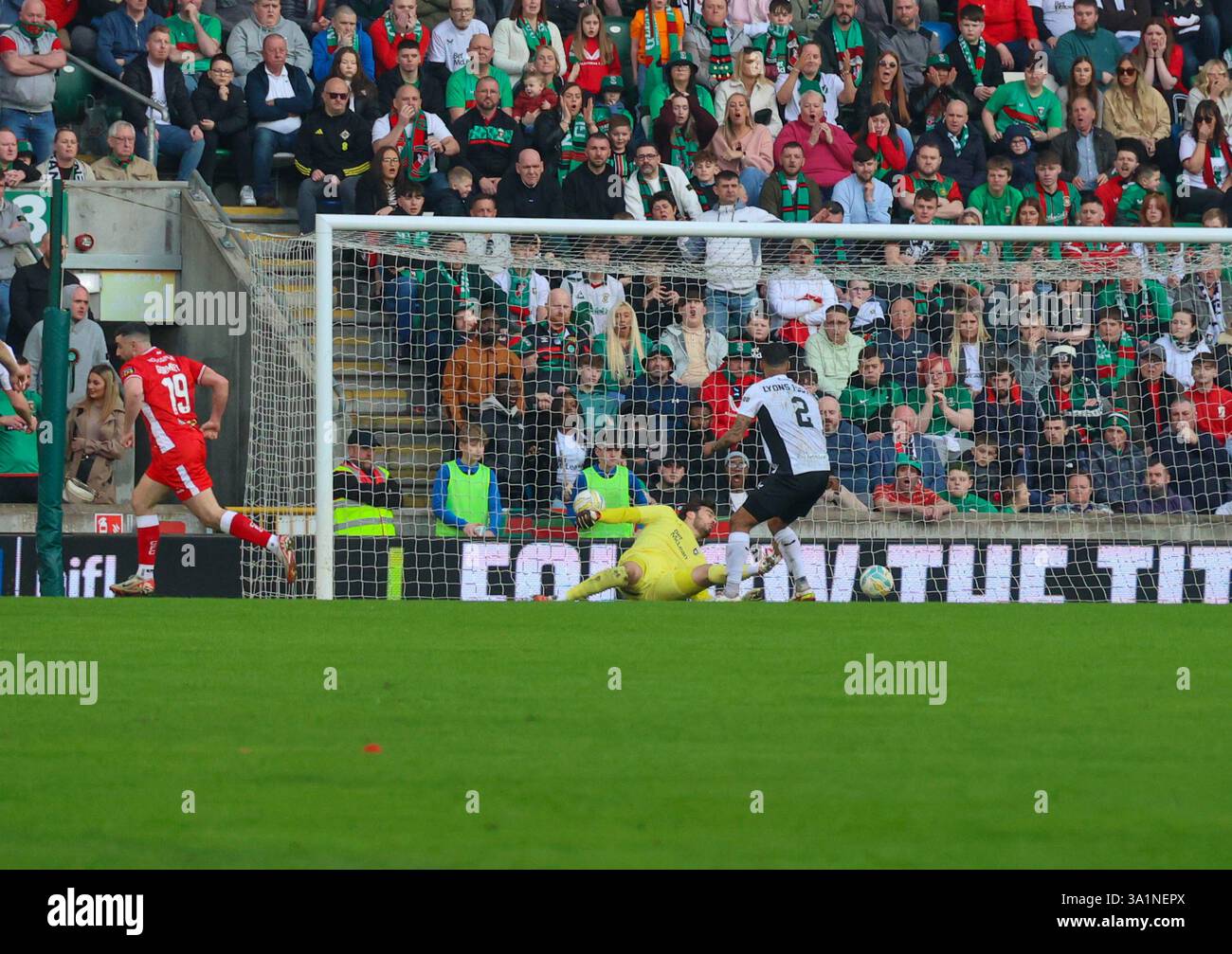 National Football Stadium at Windsor Park, Belfast, Northern Ireland ...