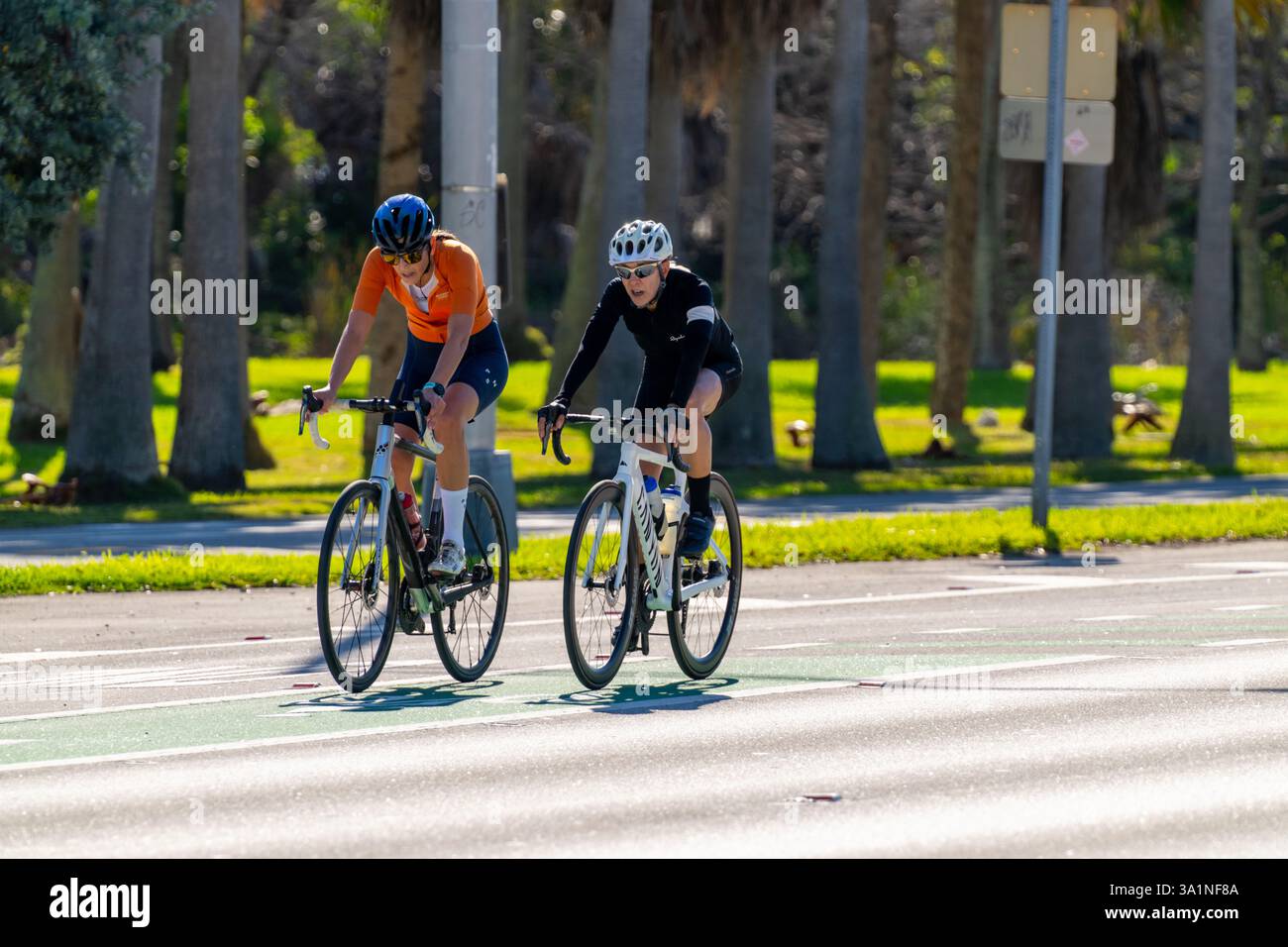 Key Biscayne Miami, FL, USA - March 8, 2025: Early morning, bike ride ...