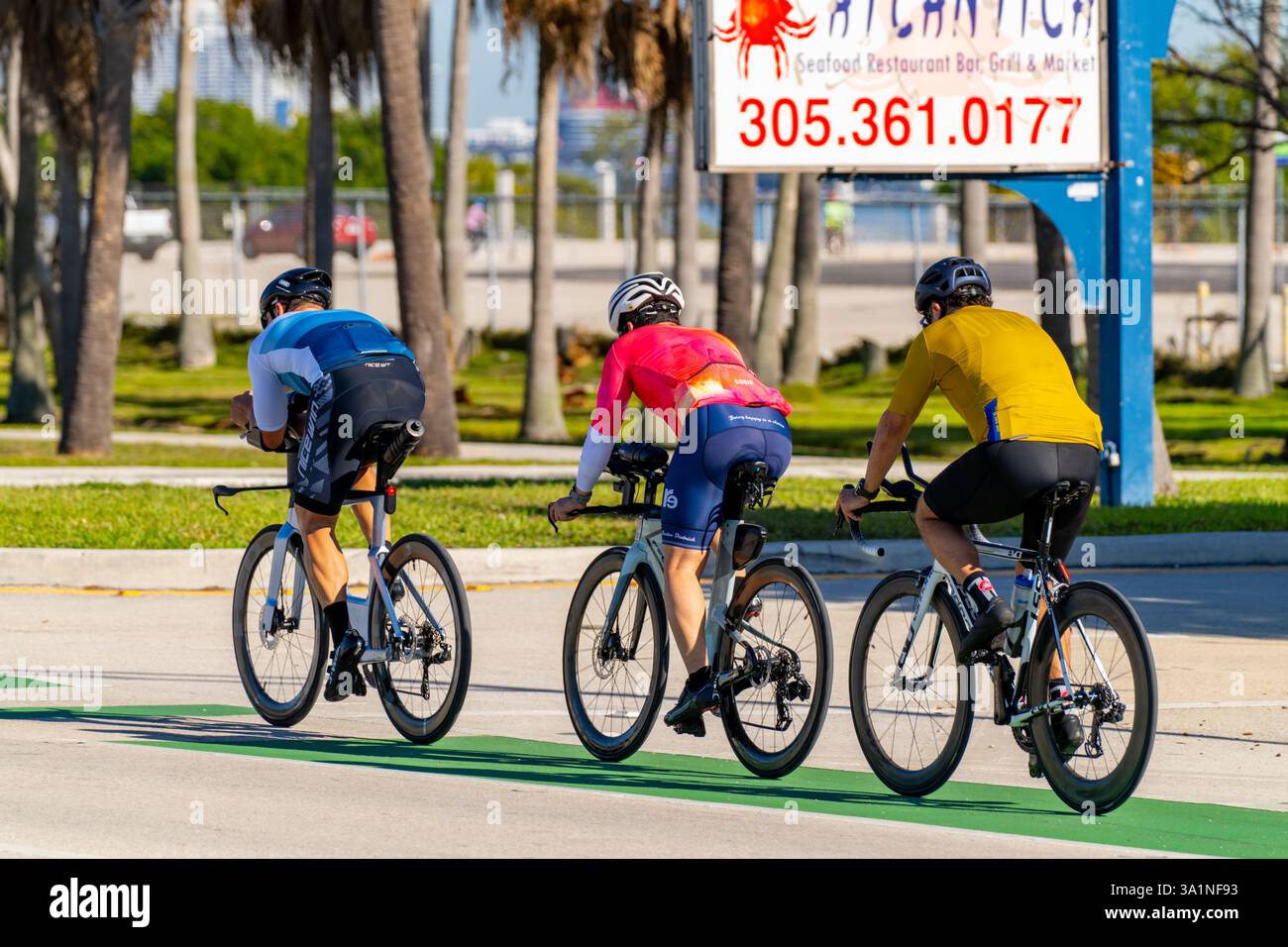 Key Biscayne Miami, FL, USA - March 8, 2025: Group of cyclists riding ...