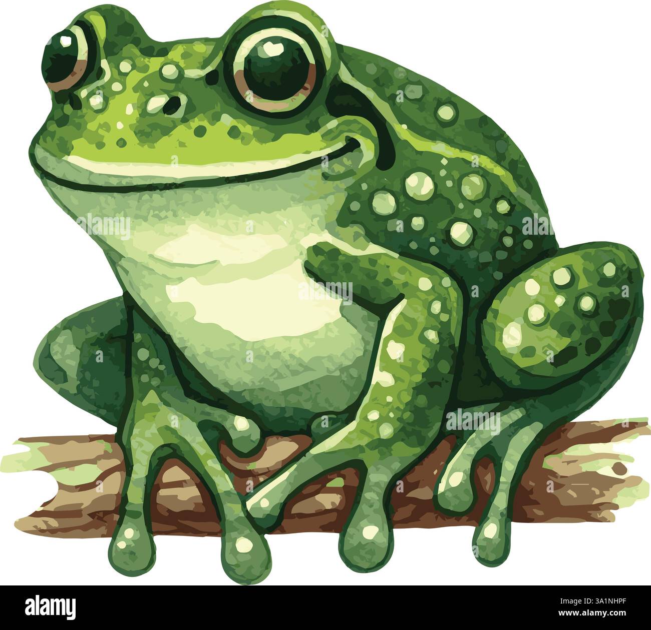 Watercolor realistic vector illustration of a frog Stock Vector Image ...