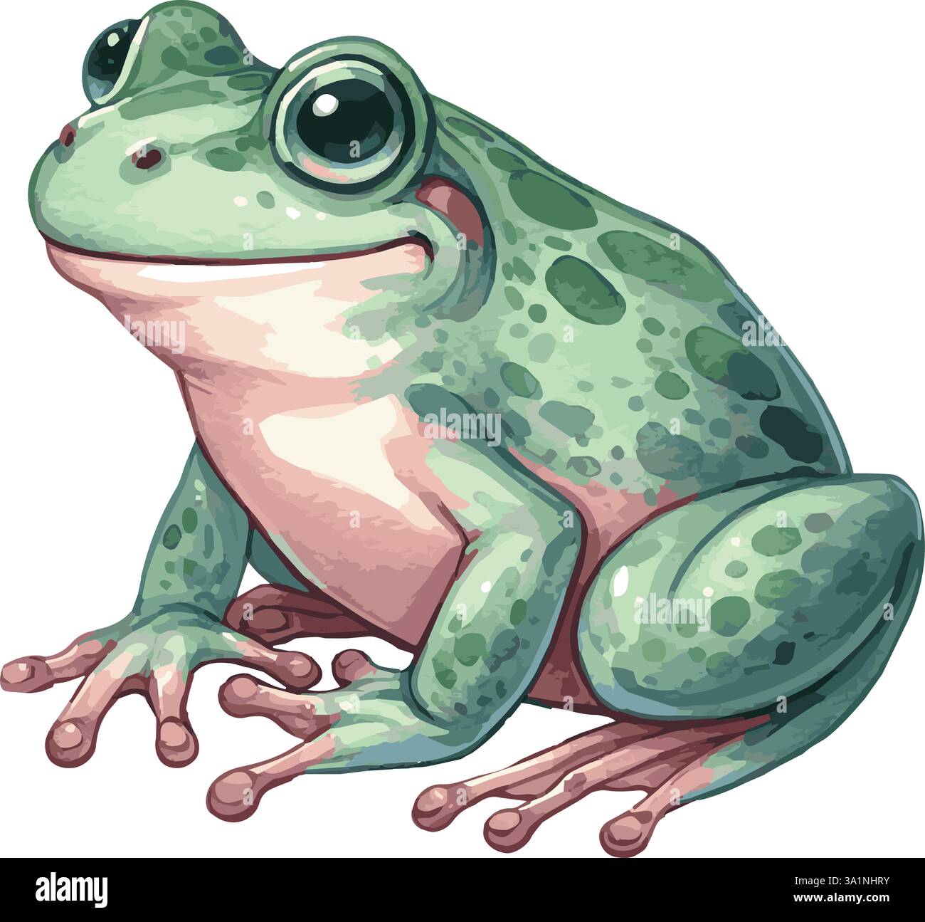 Watercolor realistic vector illustration of a frog Stock Vector Image ...