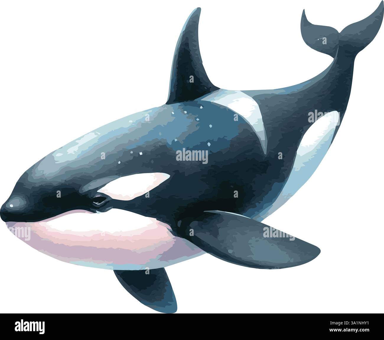 Watercolor vector illustration of an cute orca Stock Vector Image & Art ...