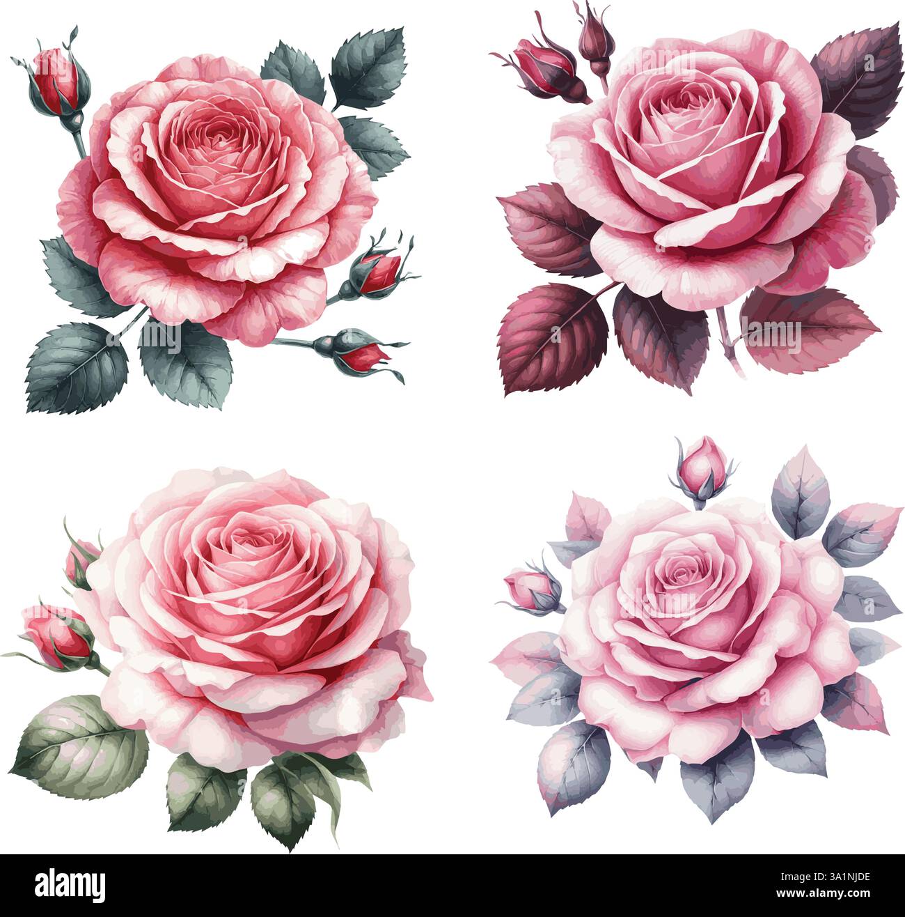 Set of Watercolor Vector Illustrations of Roses Stock Vector Image & Art - Alamy