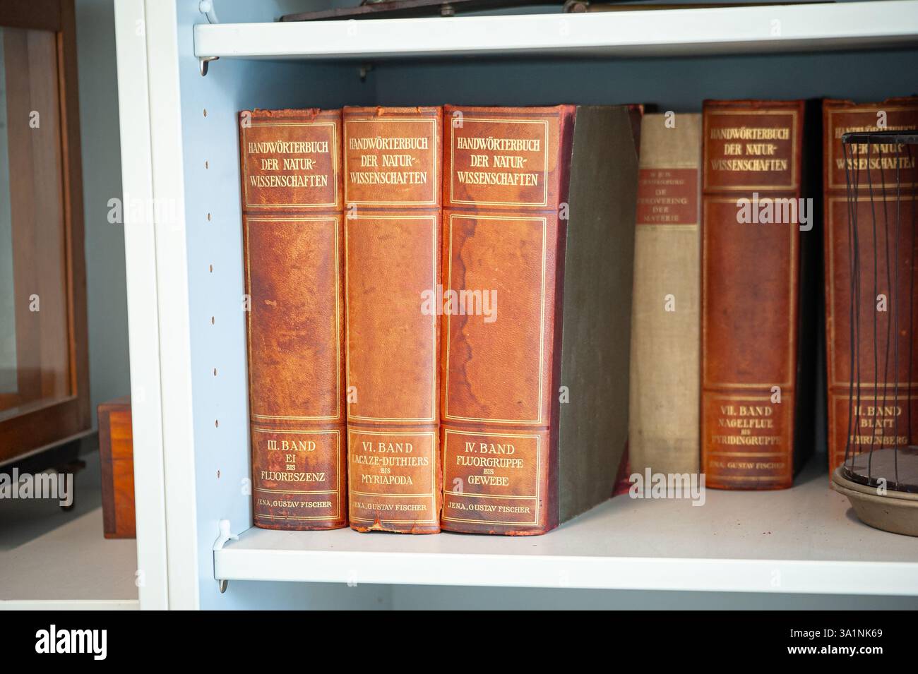 Some parts of the German dictionary of the natural sciences (German ...