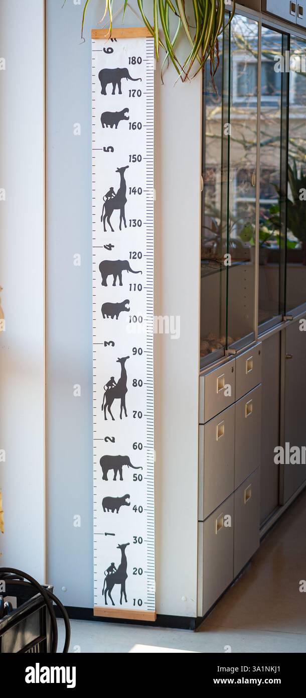 Animal-decorated gauge to measure children's height Stock Photo - Alamy