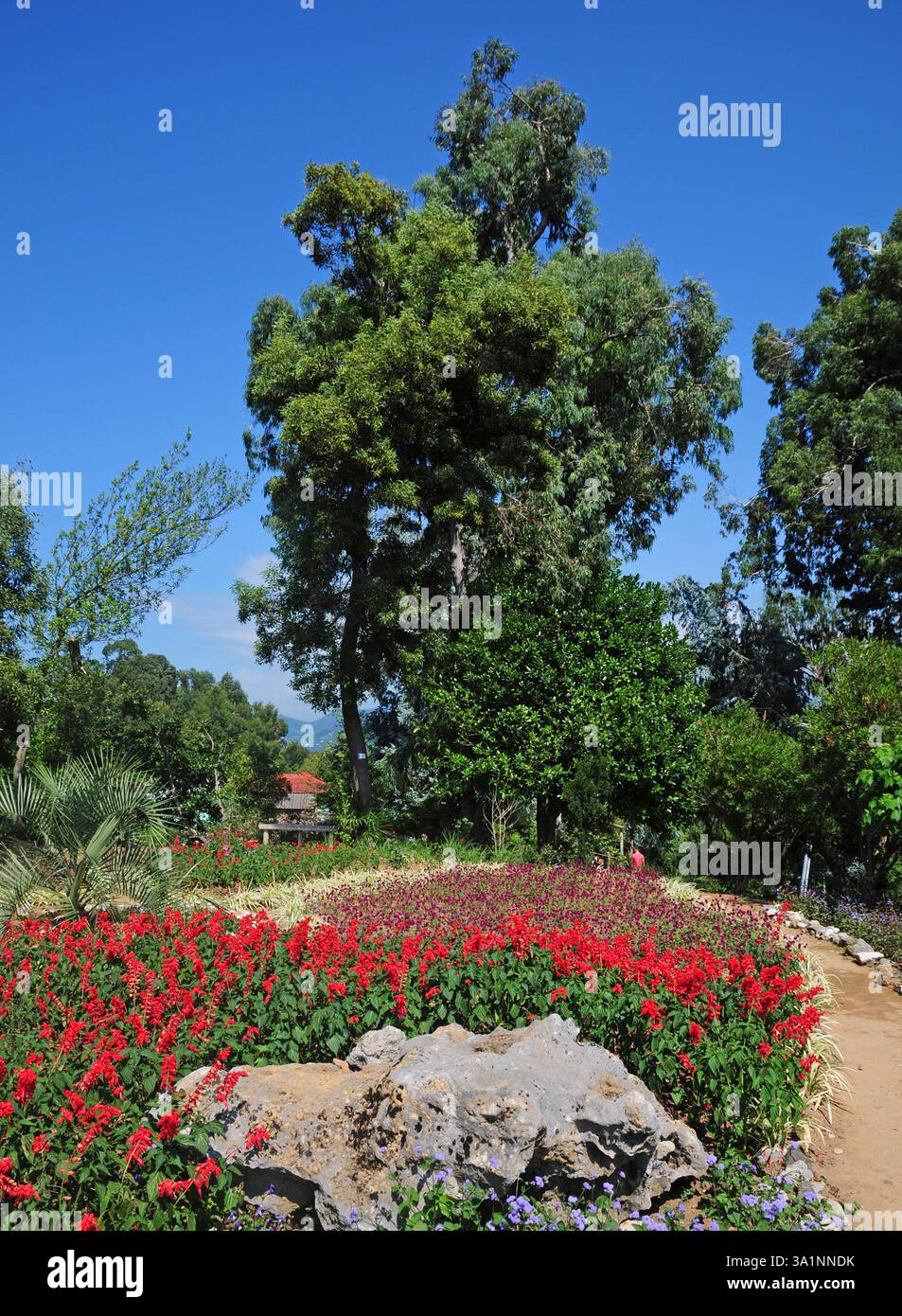 Batumi nature hi-res stock photography and images - Alamy