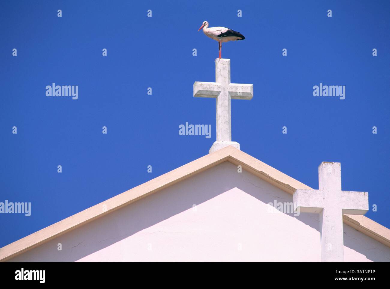 White stork on church cross Stock Photo - Alamy