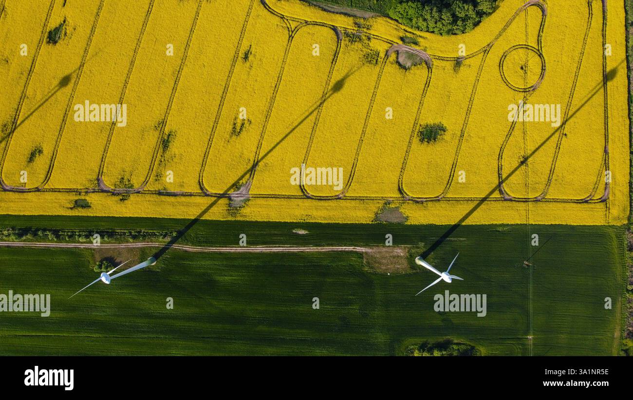 Aerial View of Wind Turbines Casting Long Shadows Over Fields Stock ...