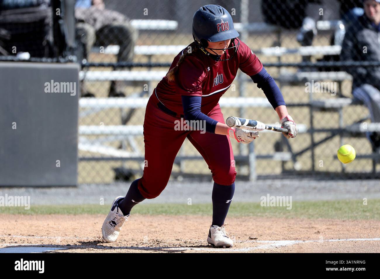 Fairleigh Dickinson infielder Erika Barela (5) lays down a bunt during ...