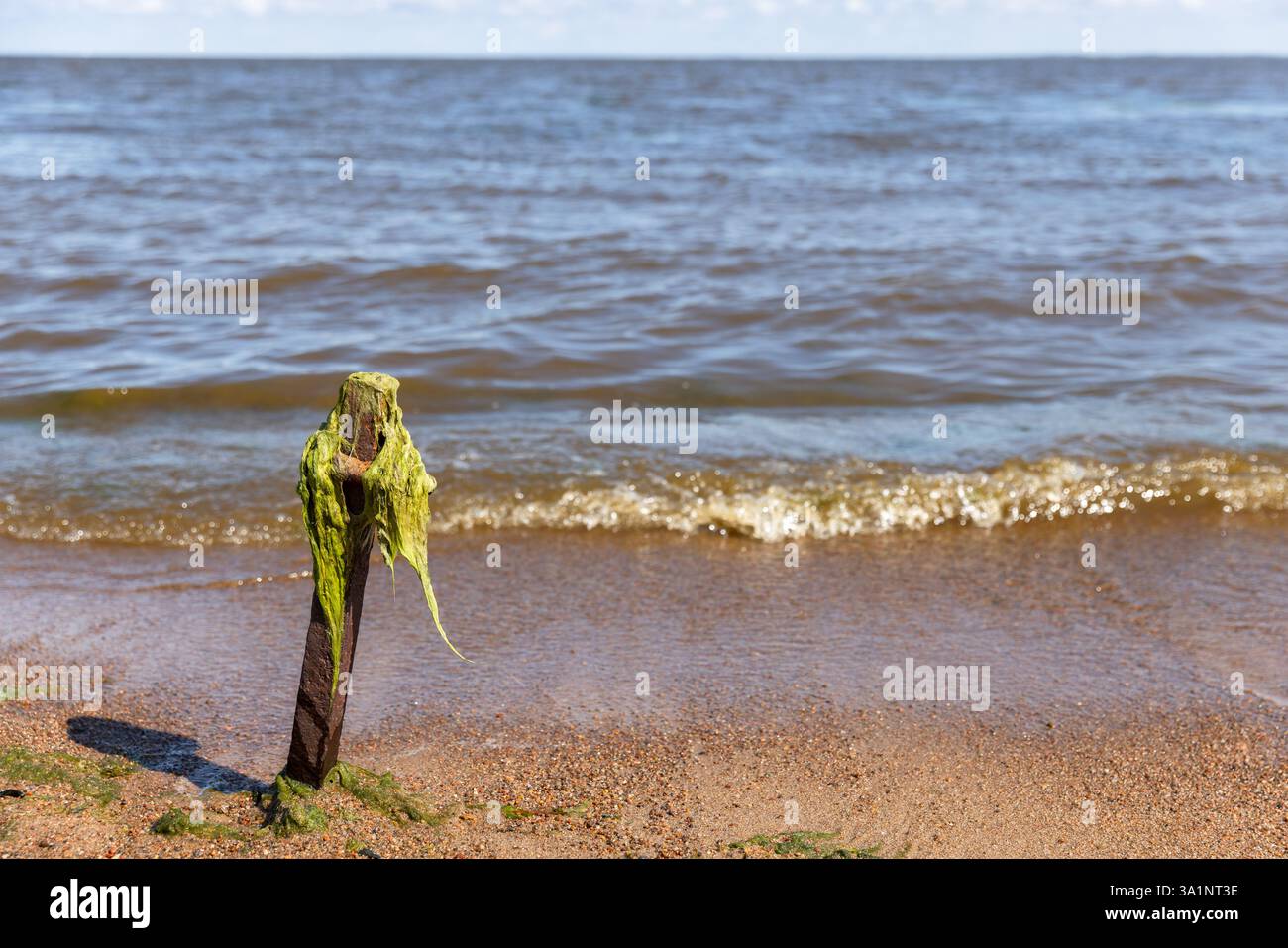 Sandy beach seaweed gentle waves hi-res stock photography and images ...