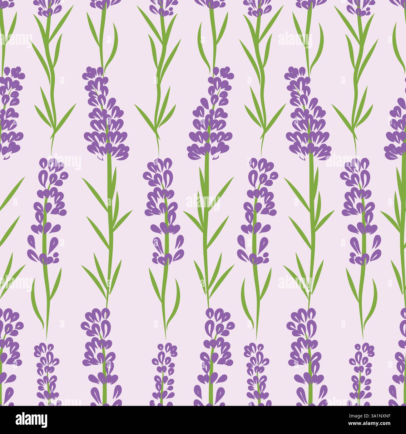 Lavender flower seamless vector hand drawn, botanical pattern ...