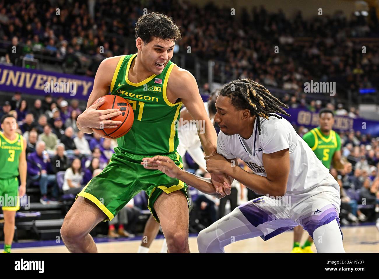 2025 _0153 jpg hi-res stock photography and images - Alamy