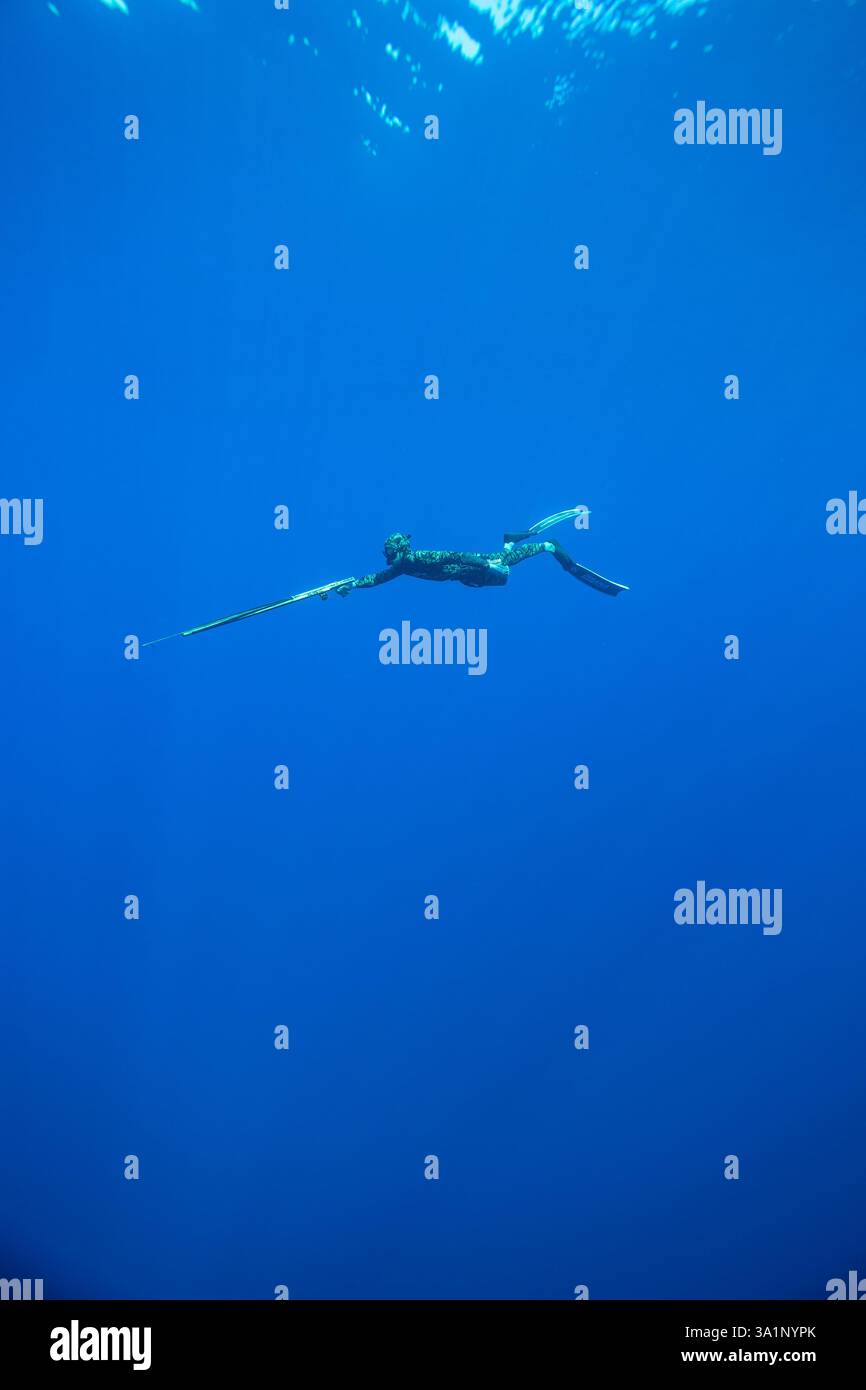 Spearfisher Freediving in Crystal Blue Water Stock Photo - Alamy