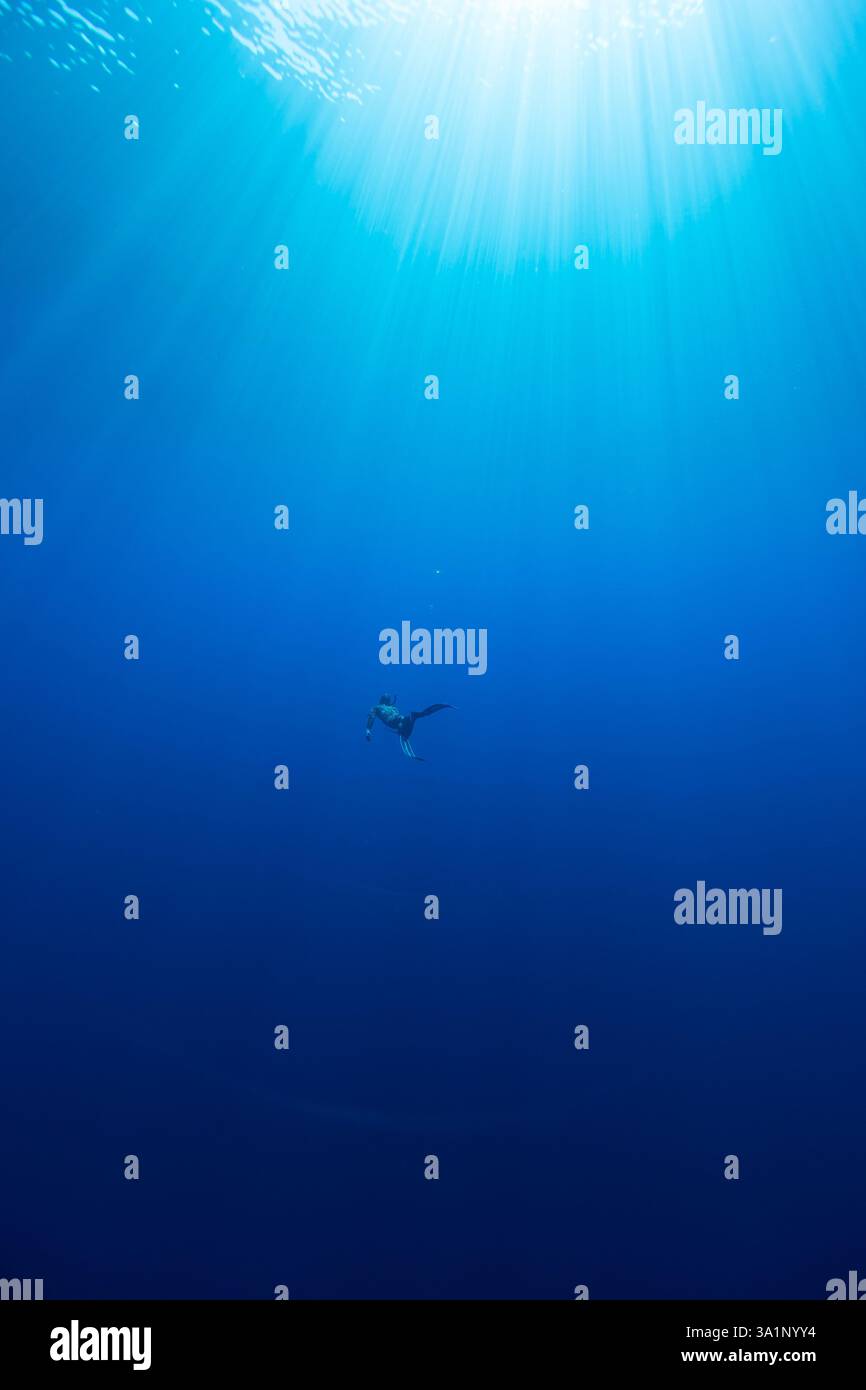 Spearfisher Freediving in Crystal Blue Water Stock Photo - Alamy