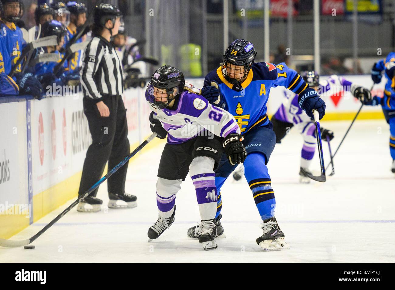 Toronto Sceptres' Renata Fast (14) checks Minnesota Frost's forward ...