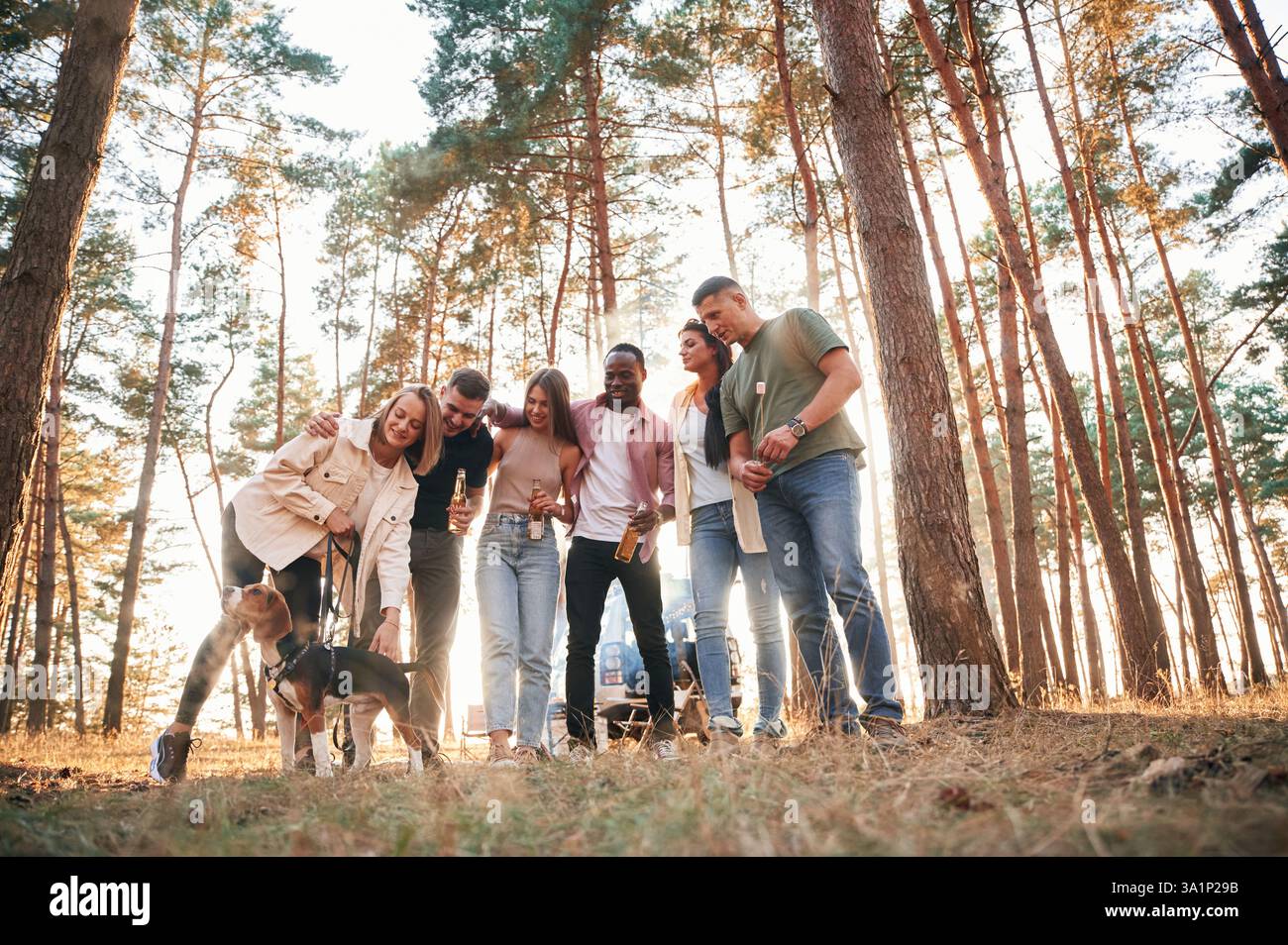Standing, fun with dog. Group of friends are together in the forest ...