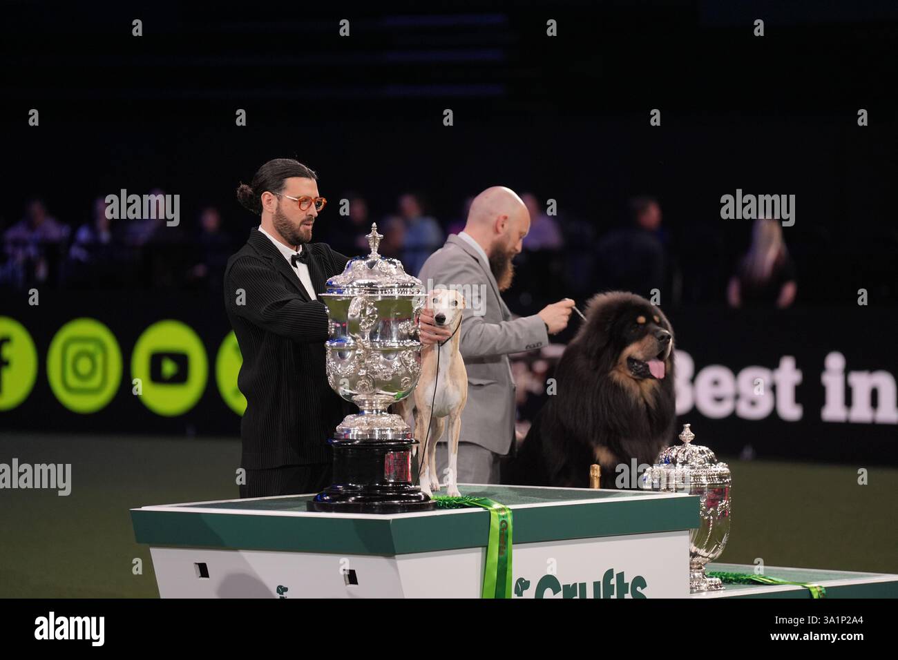 Giovanni Liguori from Italy with whippet Miuccia, winner of the Best in Show final at the Crufts ...