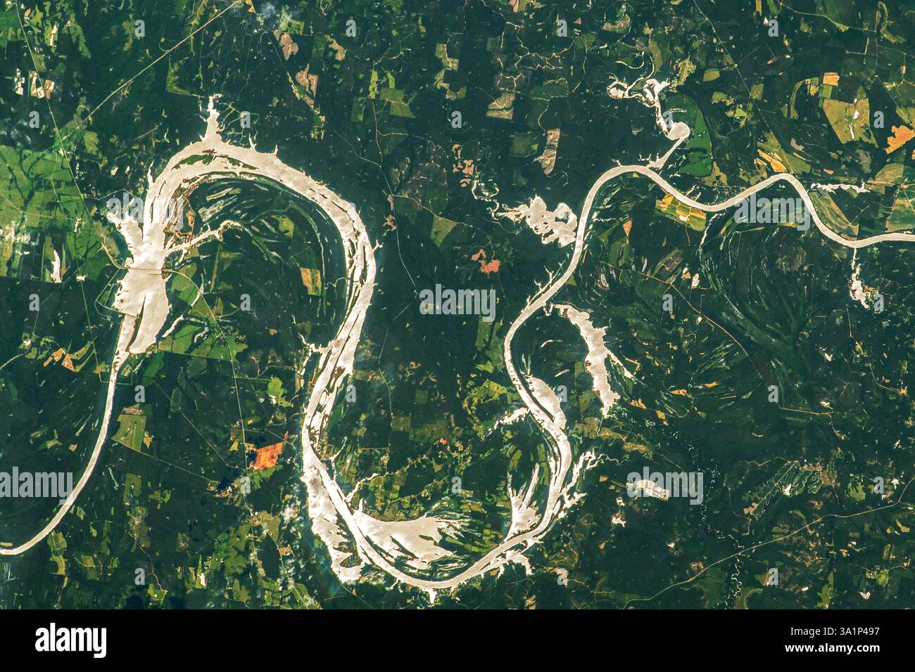 Alabama River in the United States Stock Photo - Alamy
