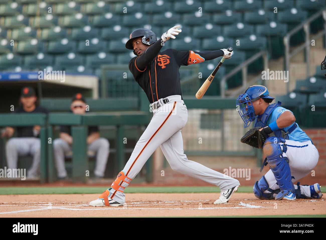 Rayner Arias (19) of the ACL Giants follows through on a swing during ...