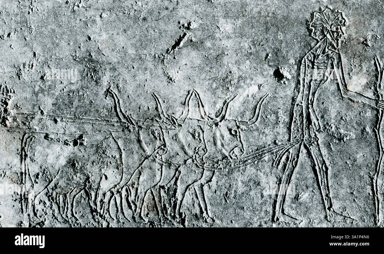 Mer cemetery egypt hi-res stock photography and images - Alamy