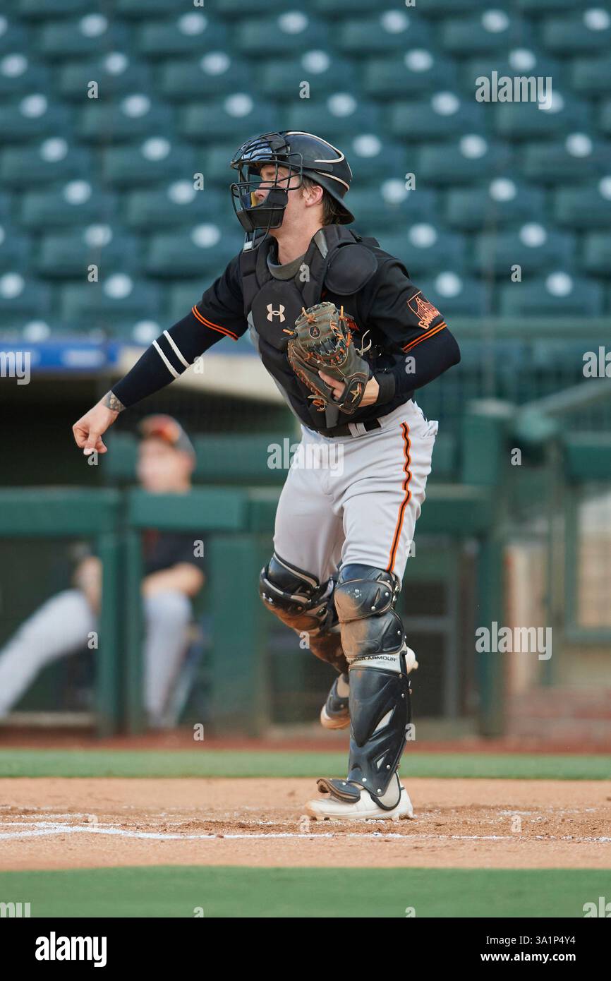 ACL Giants catcher Ty Hanchey (16) throws to second base during an ...