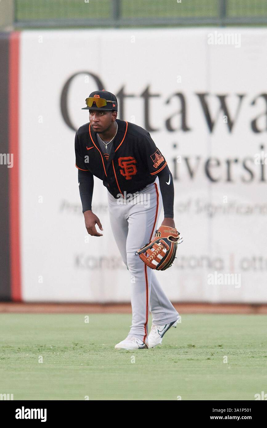 ACL Giants outfielder Rayner Arias (19) in a defensive stance during an ...