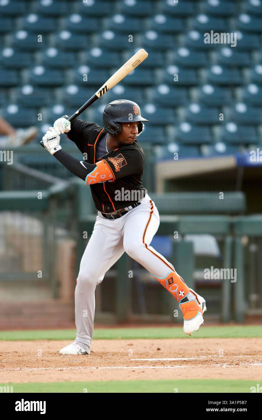 Rayner Arias (19) of the ACL Giants at bat during an Arizona Complex ...