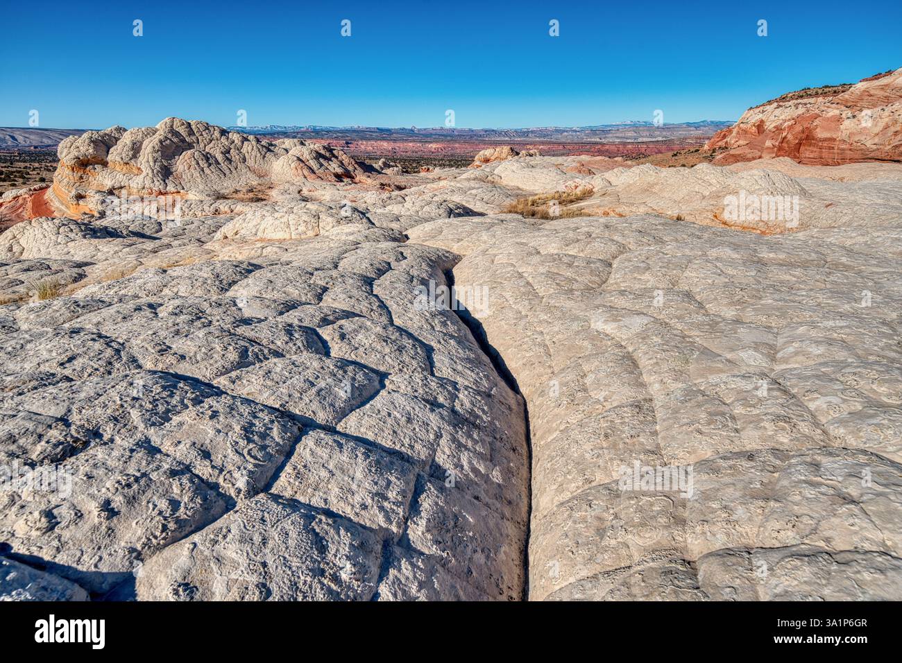 White Pockets stunning rock formations create a textured surface in a ...