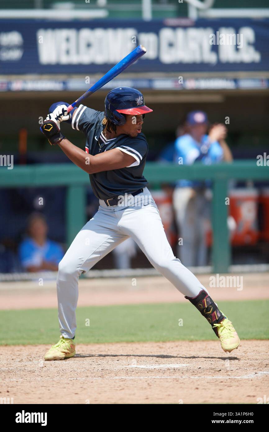 Quentin Young (24) (Camarillo, CA) at bat during the USA Baseball 18U ...