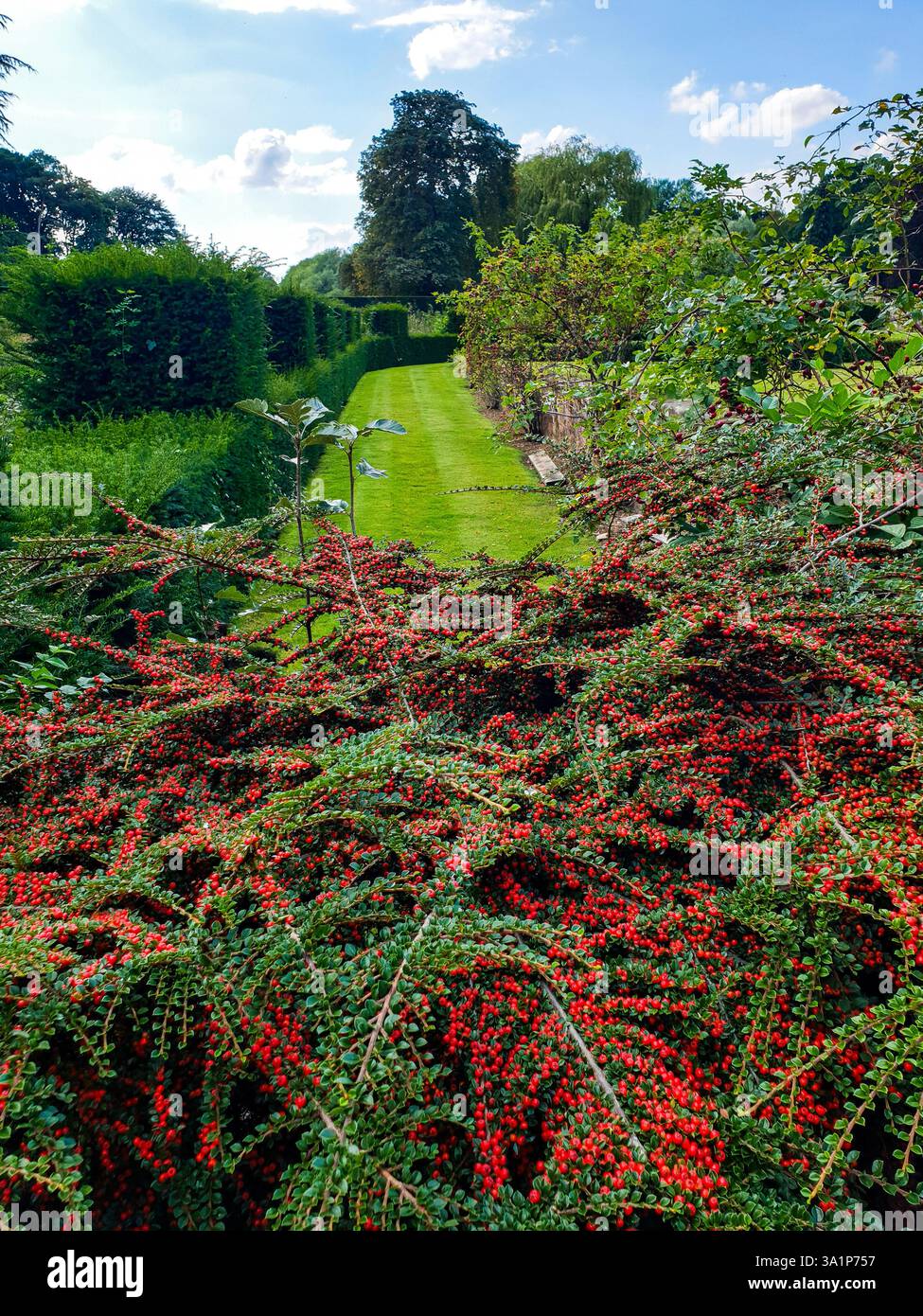Beautiful formal garden at Coombe Abbey Country Park Stock Photo - Alamy