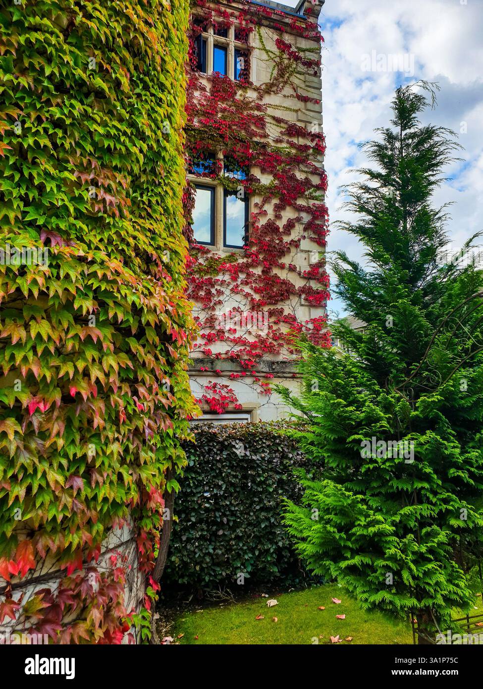 Beautiful formal garden at Coombe Abbey Country Park Stock Photo - Alamy
