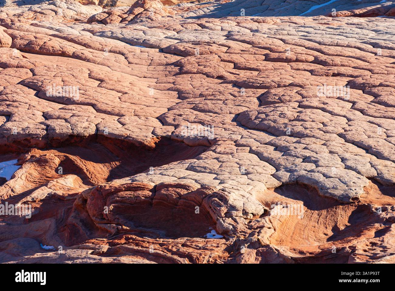 Vibrant rock formations stretch across the landscape in White Pocket in ...
