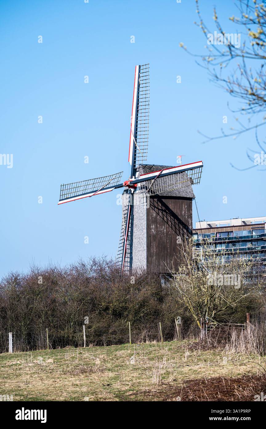 Wooden windmill in the Hof ter Musschen nature reserve in Woluwe Saint ...