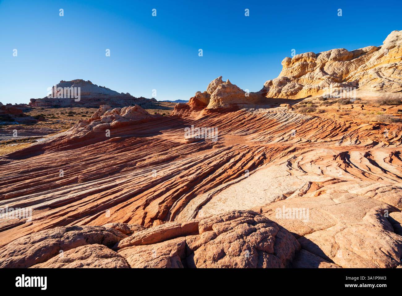 Unique sedimentary rock patterns stretch across the landscape of White ...