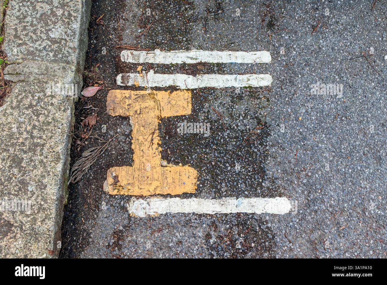 An extremely short no-parking yellow line, sandwiched between two white ...