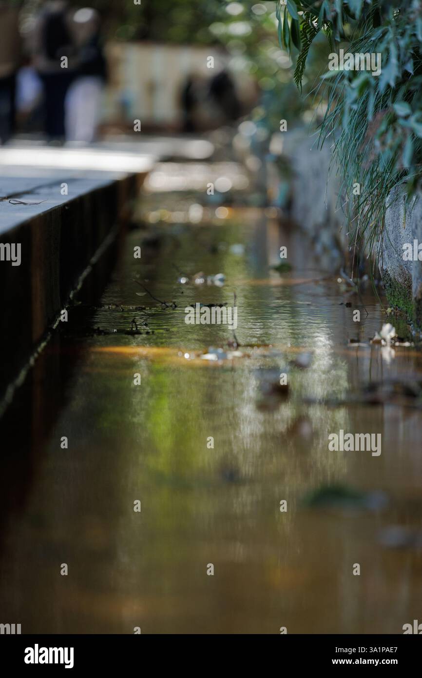 Japanese Shinto shrine's quiet waterway adjacent to path leading to ...