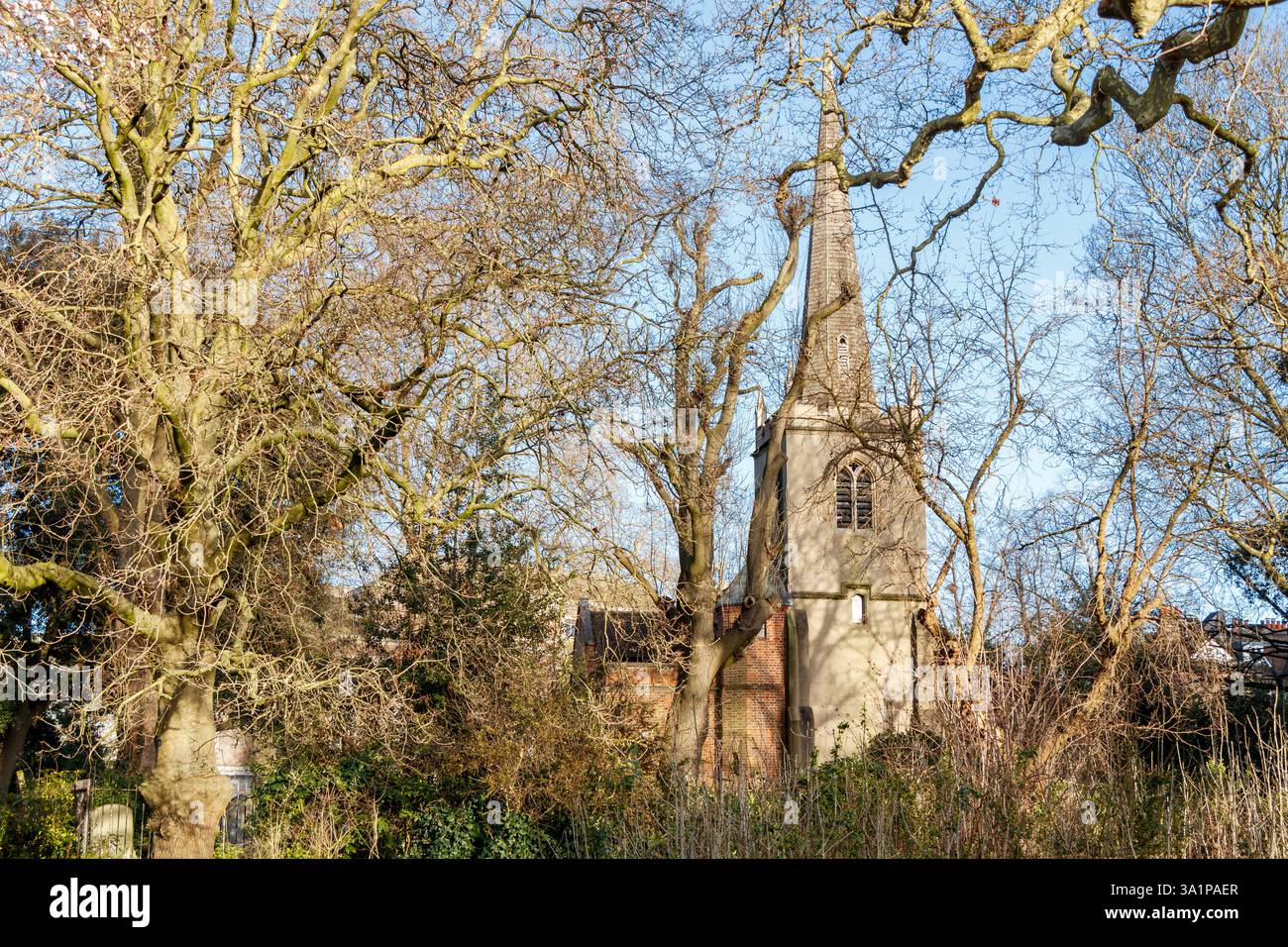 St Mary's Old Church in Stoke Newington, London, UK, now a not-for ...