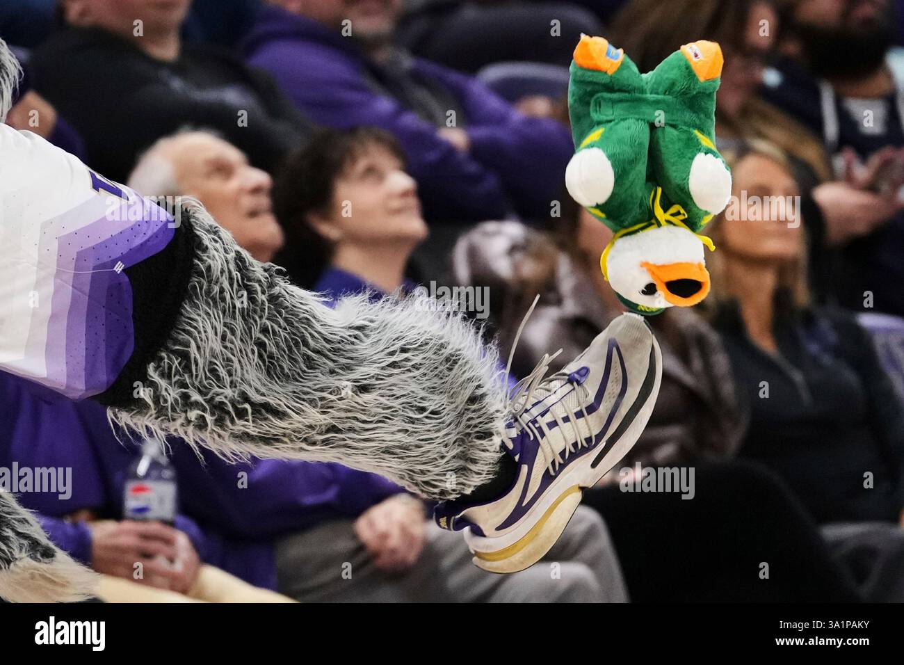 Harry the Husky kicks a stuffed Oregon Duck mascot during a timeout in ...