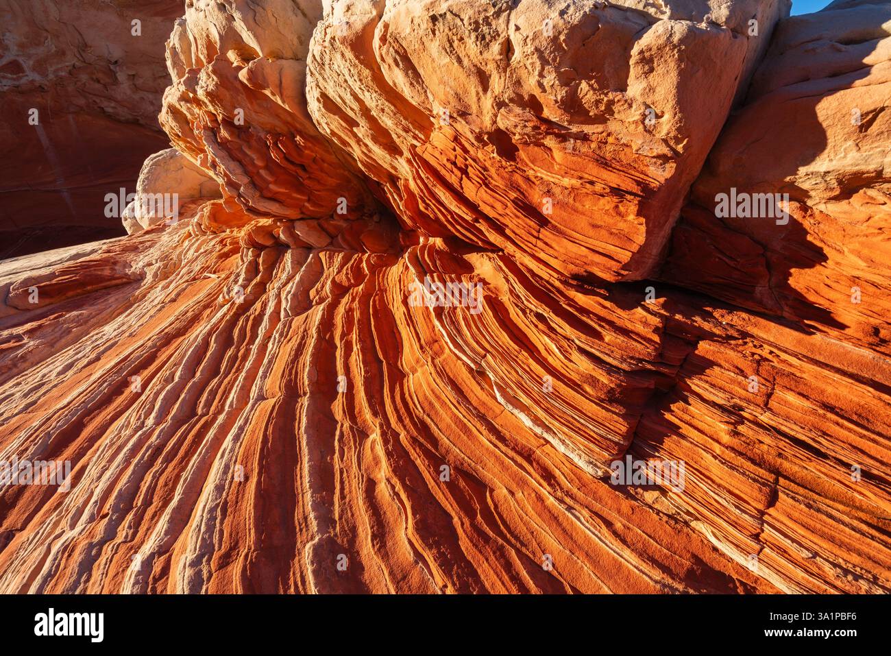 Bold orange layers of rock create intricate patterns at White Pocket in ...