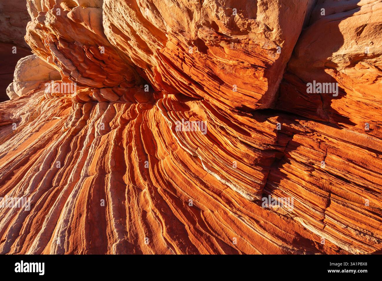 Colorful layers of sandstone curve gracefully in White Pocket in the ...