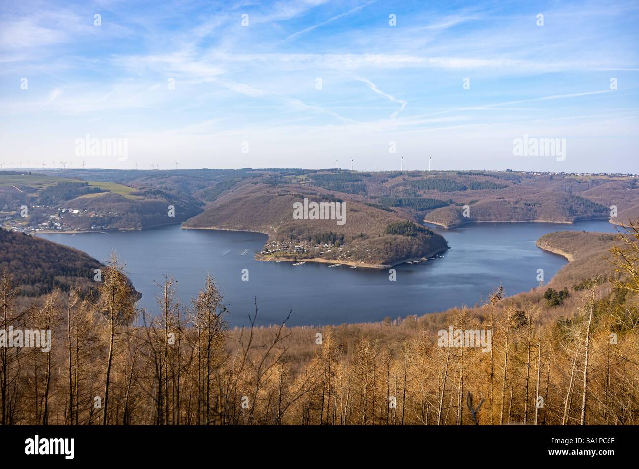 Wilder Kermeter am Rursee 09.03.2025 Blick vom Aussichtspunkt Hirschley ...