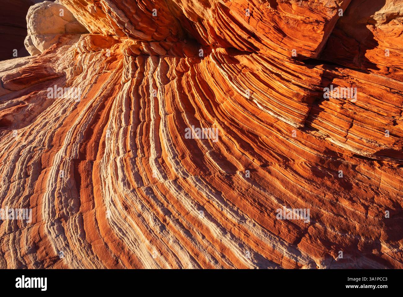 Colorful rock layers twist and curve across the landscape in White ...