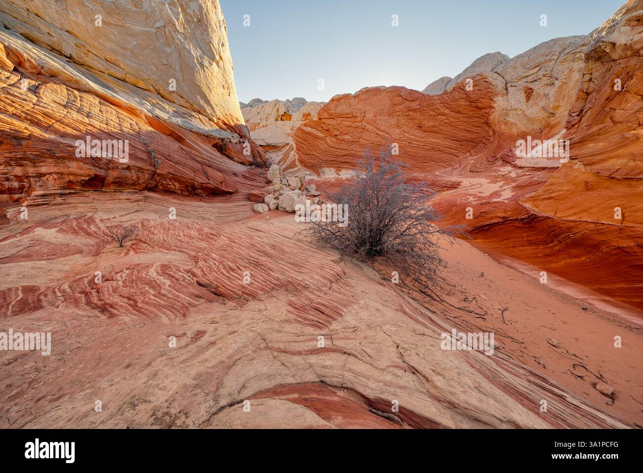 Vibrant layers of reddish-orange rock formations frame a shrub in White ...